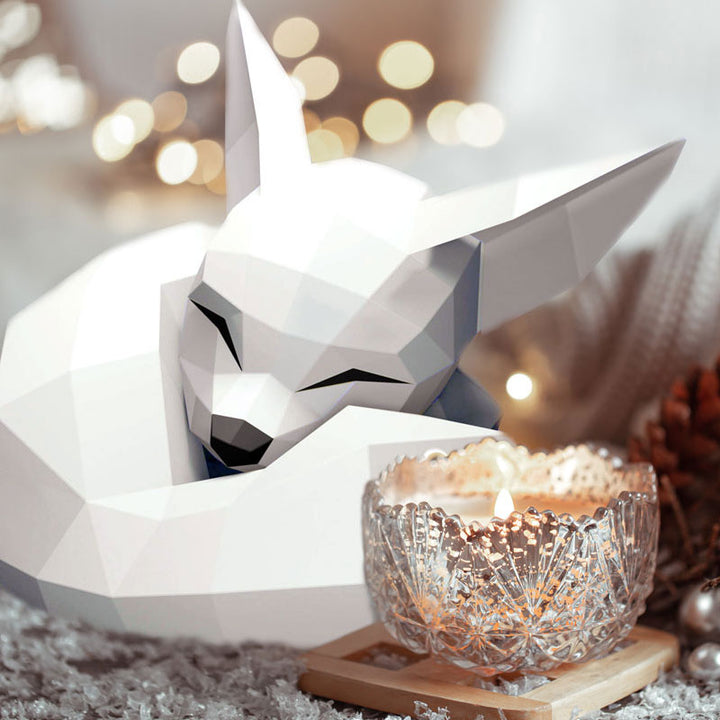 DIY Pakketten voor Volwassenen | Zelf 3D Papercraft modellen maken ...